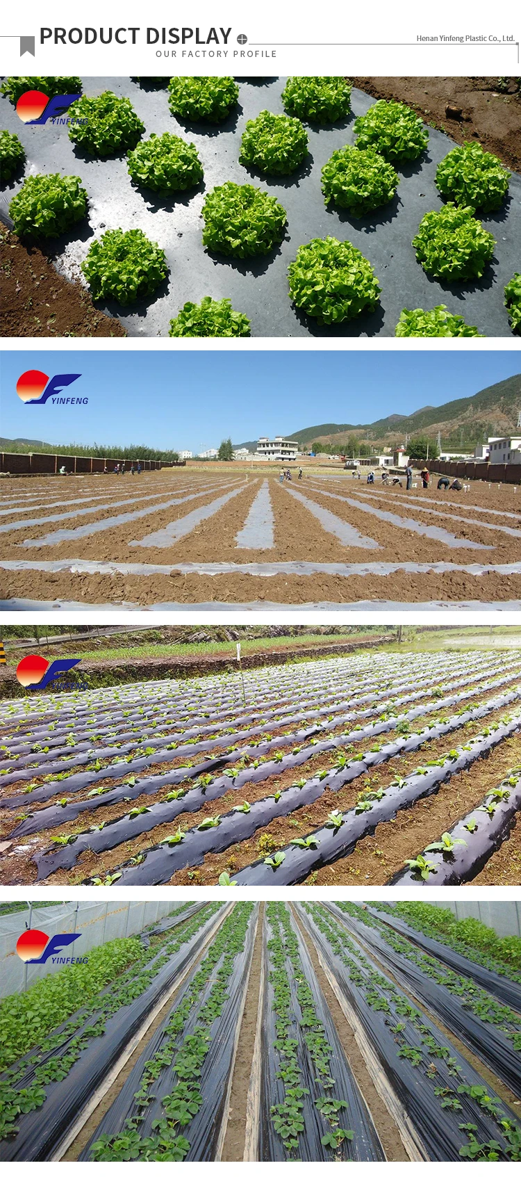 Black And Silver Agricultural Plastic Polyethylene Mulch Sheet,Weed ...