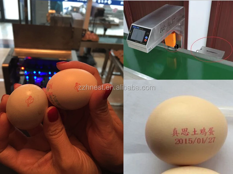 Automatic Inkjet Egg Printing Machine / Egg Stamping Machine - Buy Egg ...