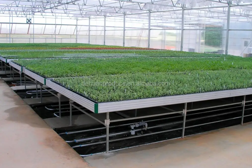 Hydroponic Farm System Ebb and Flow Rolling Table Top Benches ...