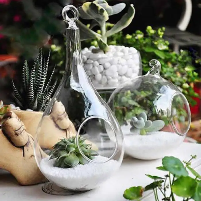 Artdragon Clear Glass Teardrop Globe Flower Pot Hanging Holder Air ...