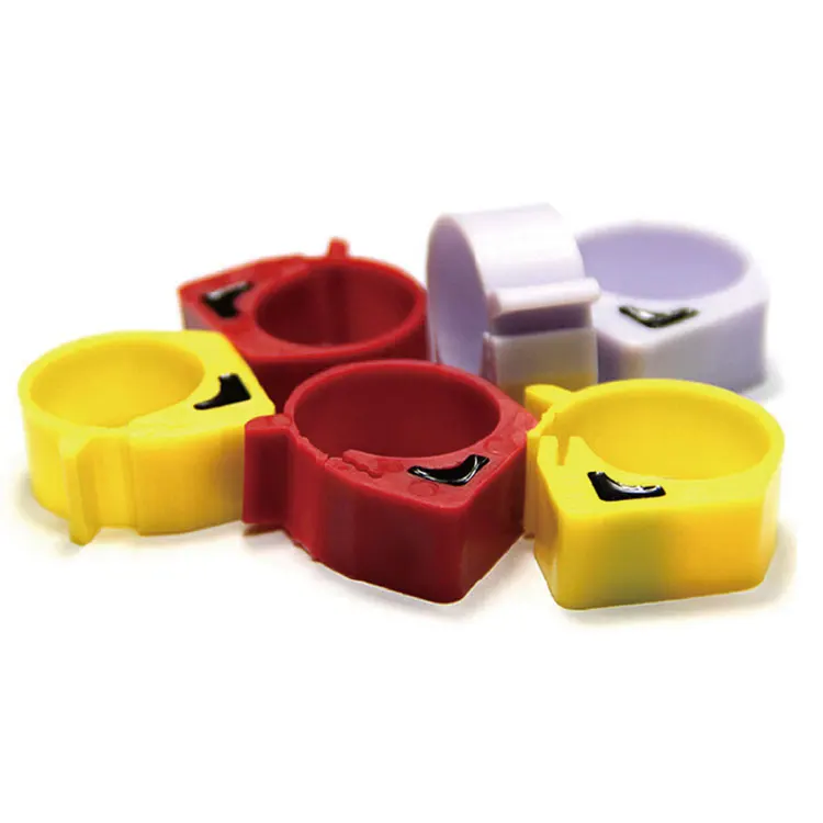 RFID Animal Tags - Customized ID Collars for Pigeons & Birds