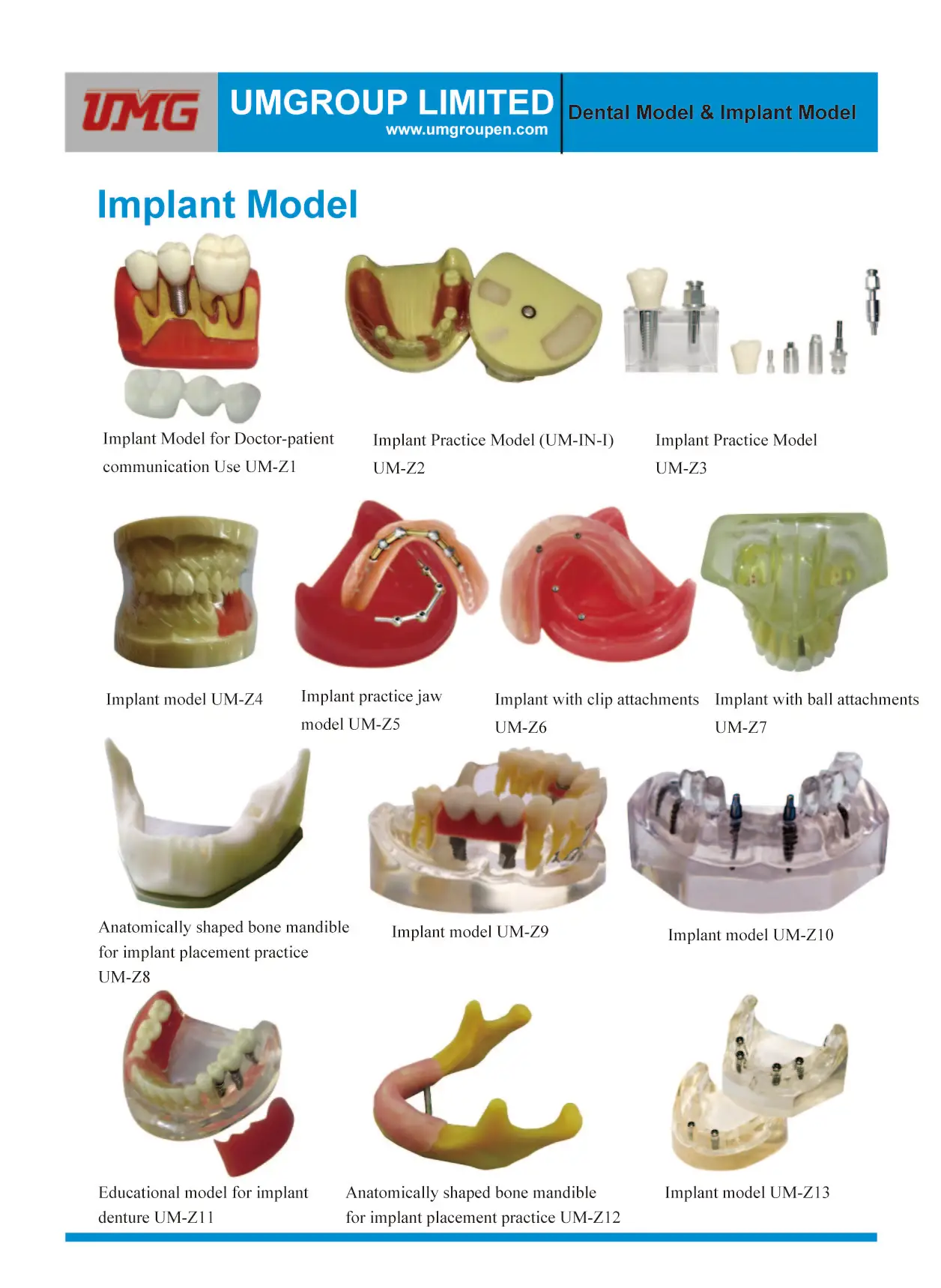 Dental Implant Basic Teaching Demonstration Model Dental Implant ...