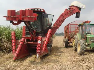 Sugarcane Harvester - High Productivity & Reliable Service