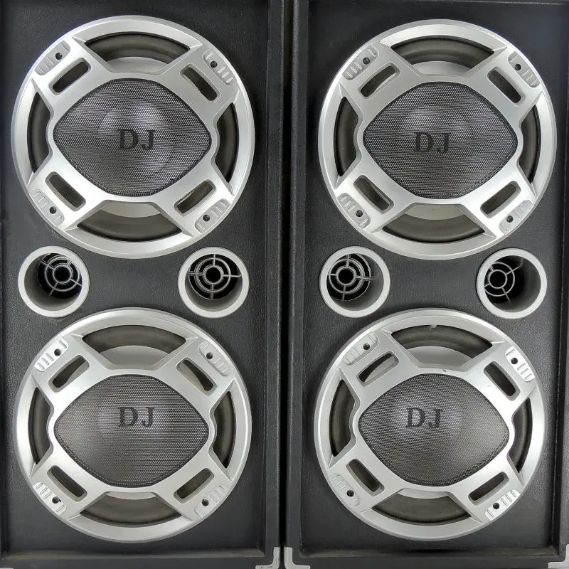 Hoxen 10 Inch Subwoofer Speakers - Powerful Audio Solutions