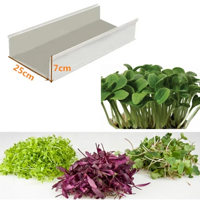 Barley Green Forage Fodder Grow Trays - Hydroponic System