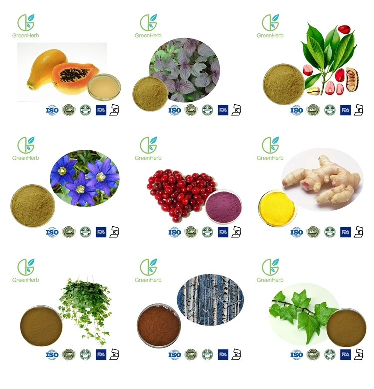 Natural Healthy Product Persimmon Extract - Buy High Quality Persimmon ...