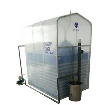 New Energy Biogas Puxin Professional Biogas Digester System Project - Buy Energy Biogas ...