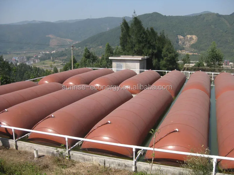 Cow Pig Dung China Biogas Engine Power Plant Digester Storage Bag Tank ...