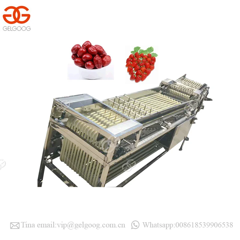 High Efficiency Fruit Sorting Machine - Automatic Grading