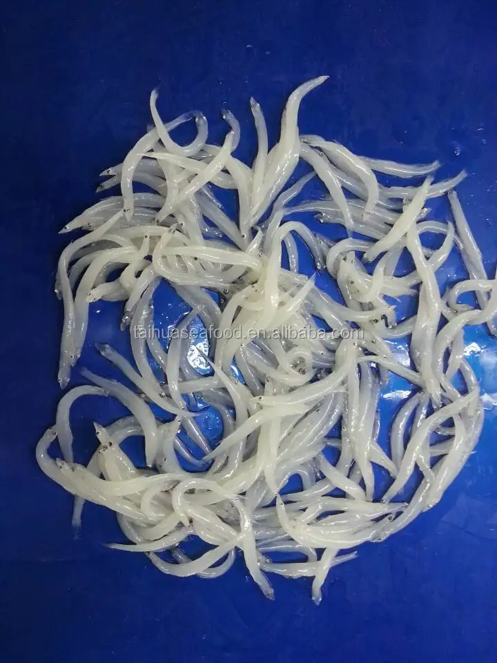 Frozen Whole Silver Fish Different Sizes - Buy Silver Fish,Frozen ...