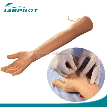 Elderly Iv Arm Model For Venipuncture Training,Venipuncture Arm - Buy ...