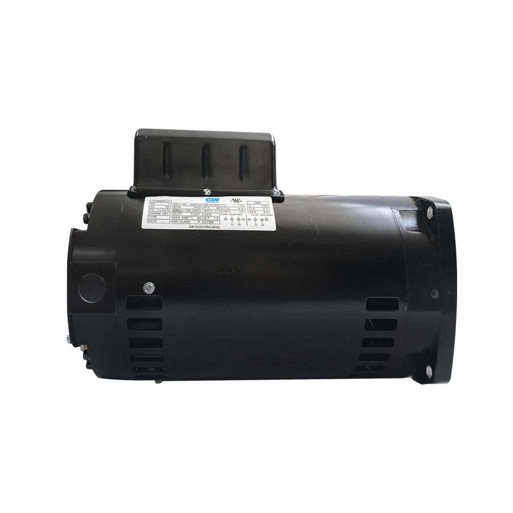 GW Square Flange Electric Water Pool Pump Motor Price