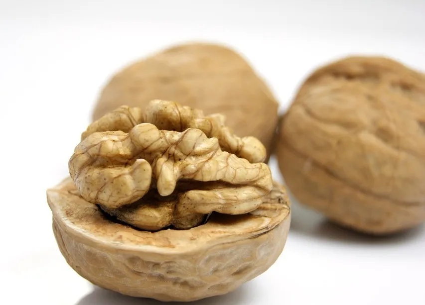 Papery Walnuts Original Xinjiang Chinese Walnut In Shell For Sale - Buy ...