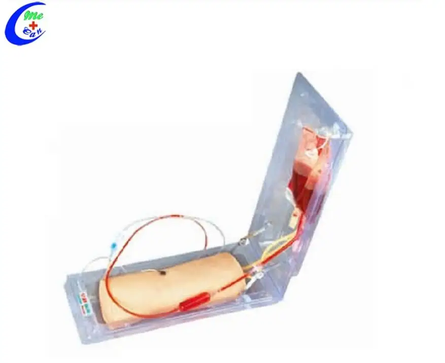 Human Patient Simulator Venipuncture and Injection Training Manikin