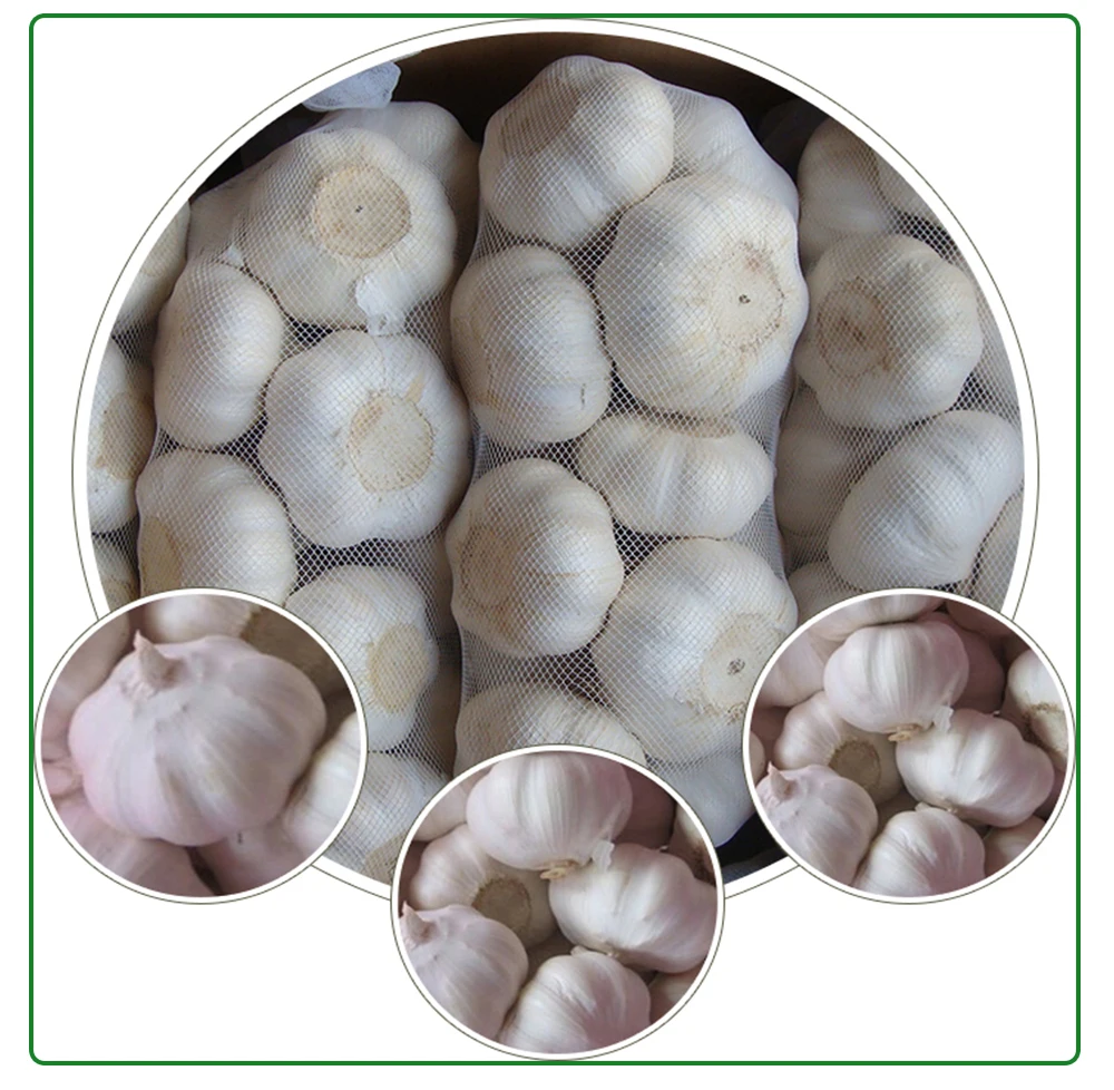 Garlic Fresh Normal White Garlic Net Bag Carton High Quality Whole G1 ...