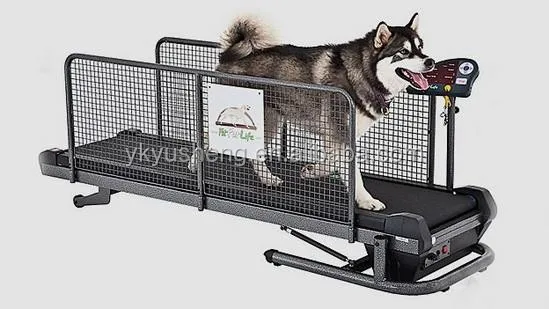 Animal Treadmill For Dogs Pets Treadmill Ce 20km/h - Buy Animal ...