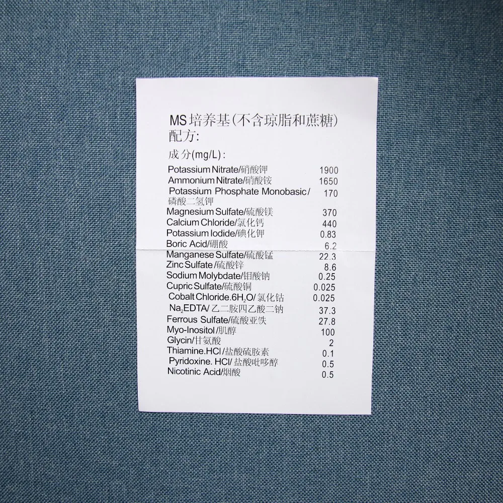 Medio de cultivo Murashige y Skoog medio (MS medio) sin Agar y sacarosa ...