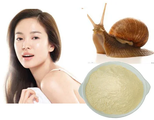 Hot Sale Natural Pure Snail Extract Powder For Skin Care - Buy Snail ...