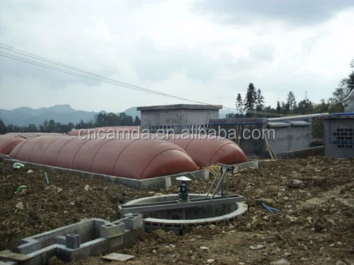 100kw Cow Farm Waste Biogas Power Plant/ Cattle Waste Biomass Plant ...