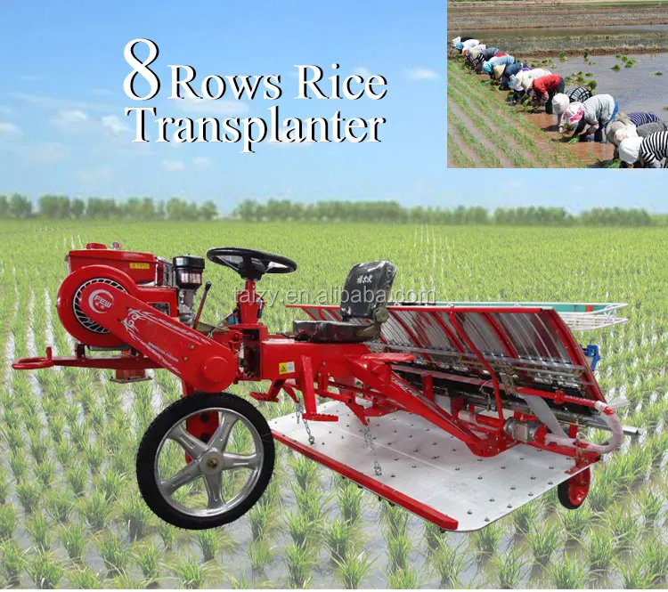 Light Weight 8 Row Manual Hand Cranked Rice Transplanter India - Buy ...