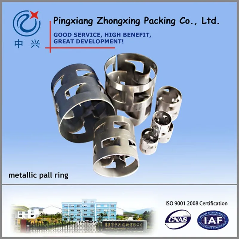 304 304L 316 316L Stainless Steel Metal Pall Ring for Scrubber Tower