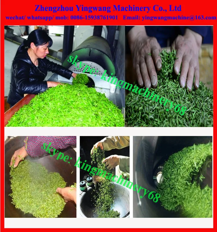 Green Tea/ Black Tea/ Oolong Tea Drying Machine - Buy Tea Leaf Steaming ...