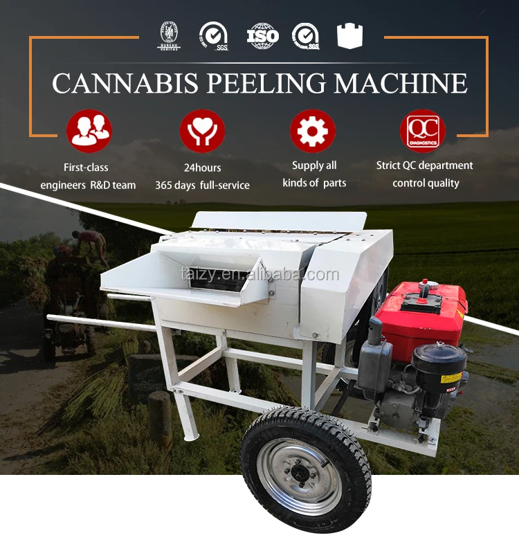 Kenaf Ramie Fiber Processing Machinery - Hemp Decorticator