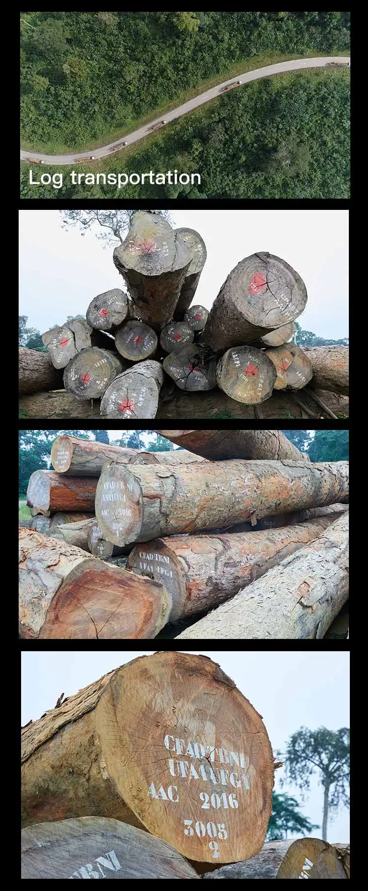 Rongyuanwood Ekki/azobe/timber Veneer - Hardwood Lumber