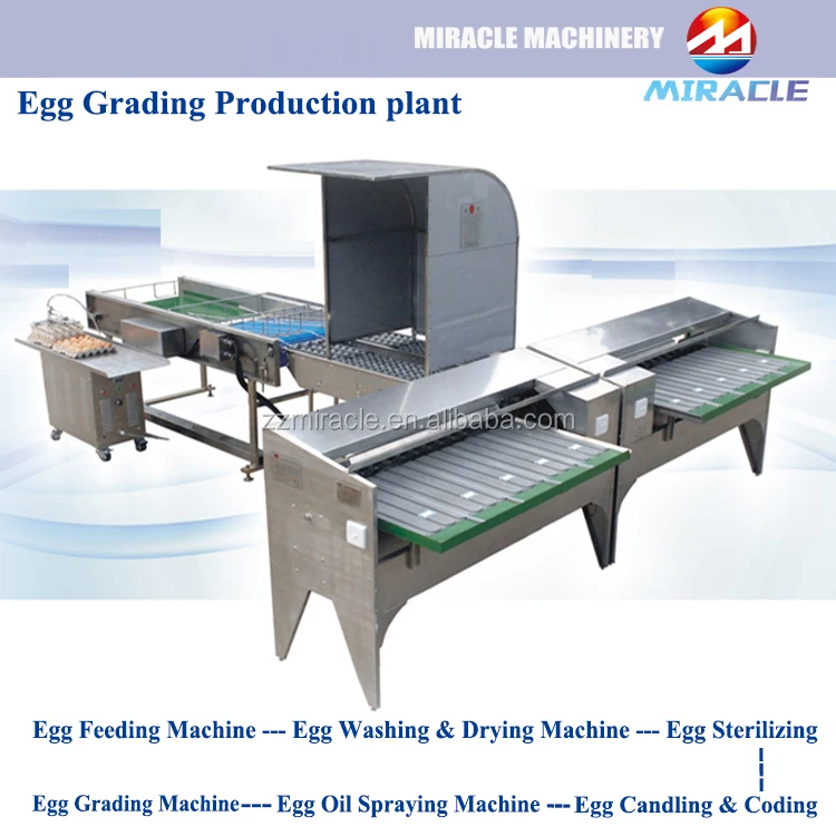 Weight Sizing And Grading Eggs Machine,Chicken Egg Sizing Machine Price ...