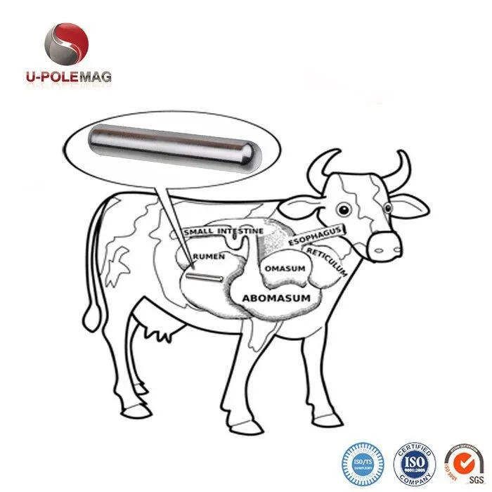 Alnico 5 Cow Magnet Pill For Prevent Cow's Cattle - Buy Cow Magnet ...