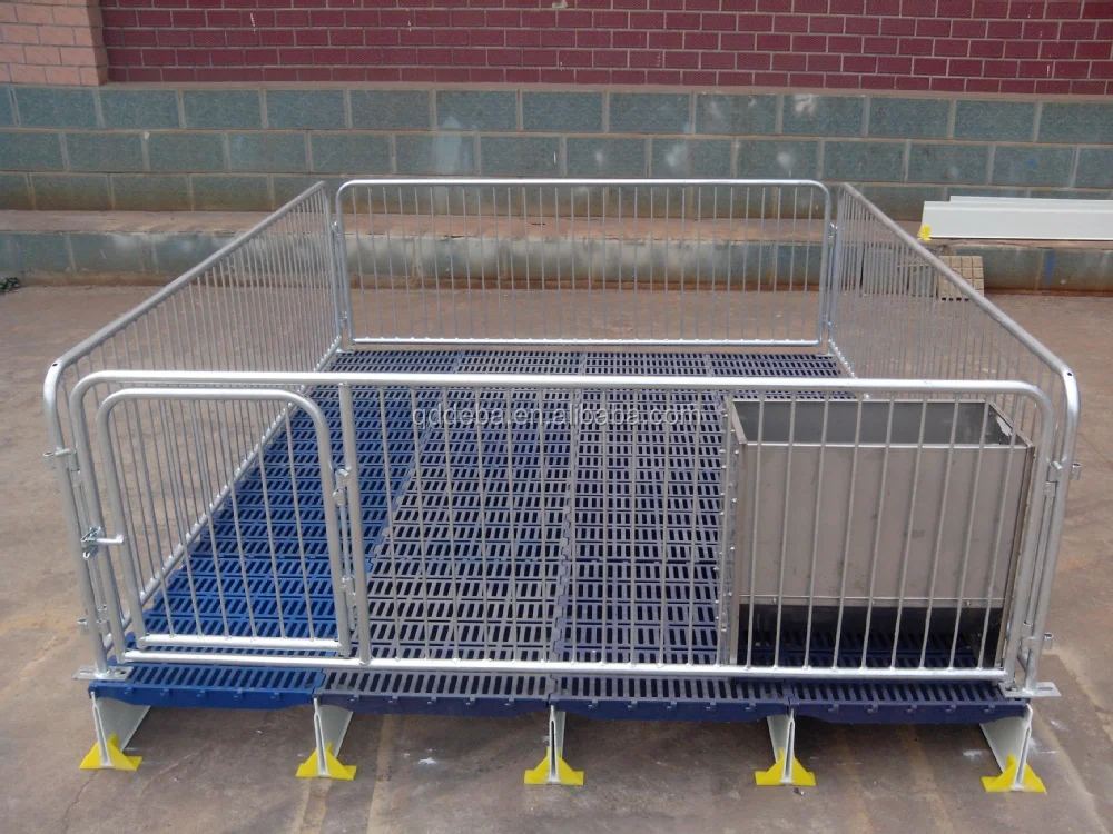 Livestock Equipment Weaning Stall Pig Pen Piglet Livestock - Buy Piglet ...