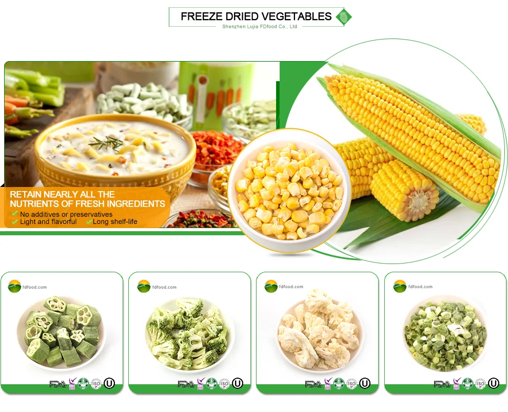 Shenzhen Lujia Fdfood Co., Ltd. - freeze dried fruit,freeze dried vegetable