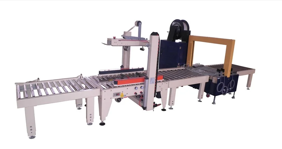 Automatic Rocker Arm Case Packer/ Robot Carton Packing And Sealing ...