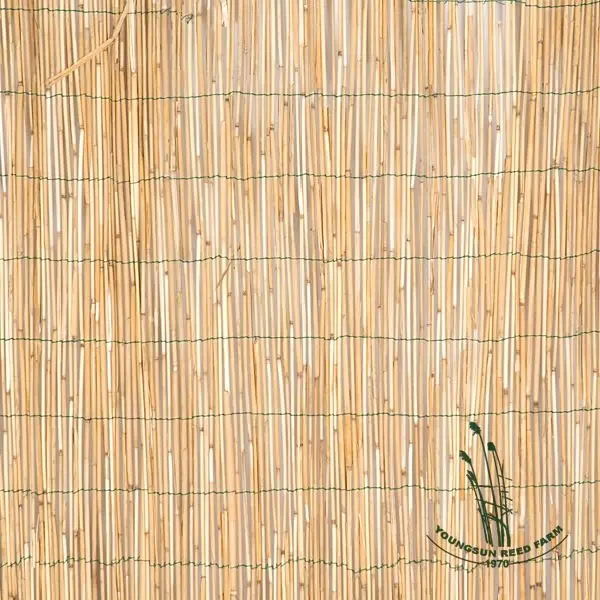 Top Quality Natural Reed Mat - Buy Reed Mat,Natural Reed Mat,Top ...