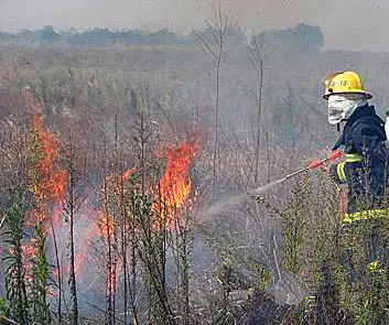 ILOT 20L Handle Backpack Firefighter Hose Sprayer Forest Firefighting ...