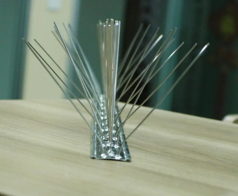 Bstw High Quality Stainless Steel Spikes Pest Control Bird Spikes - Buy ...