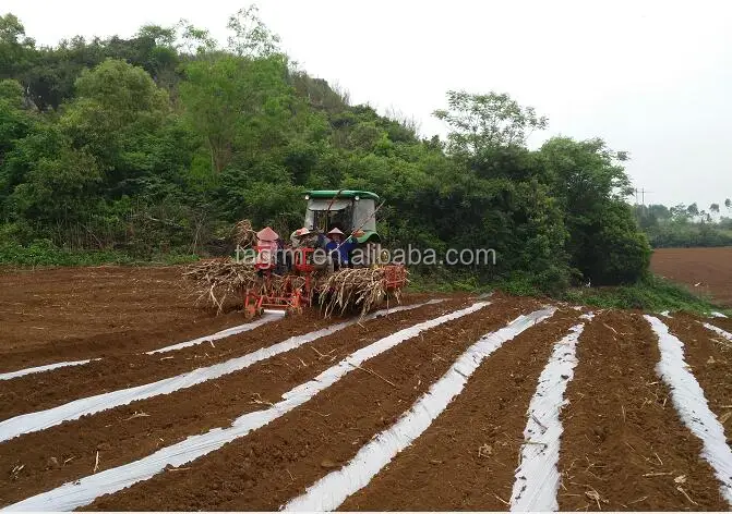 Sugarcane Mechanization Equipment 2 Rows Sugarcane Planter Factory ...