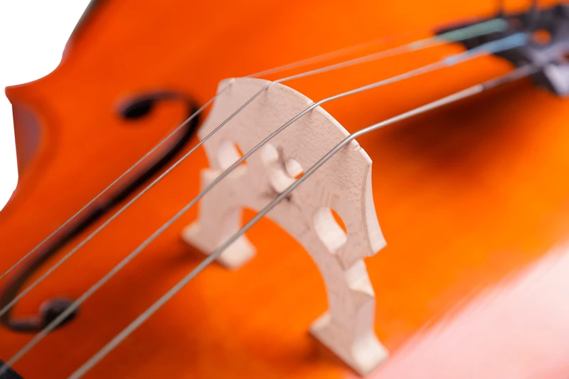 1/8 Cello Antique Cello Bright Professional Cello