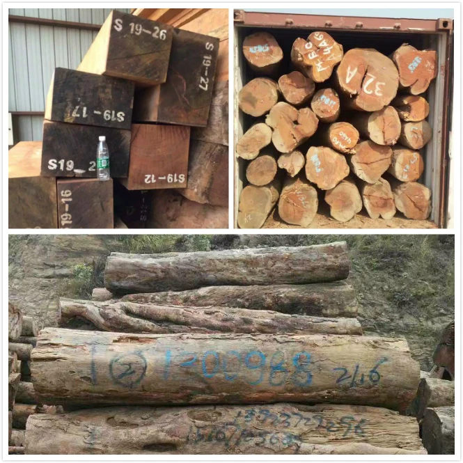 Expensive Hardwood Kevazingo Logs - High-End Furniture Wood