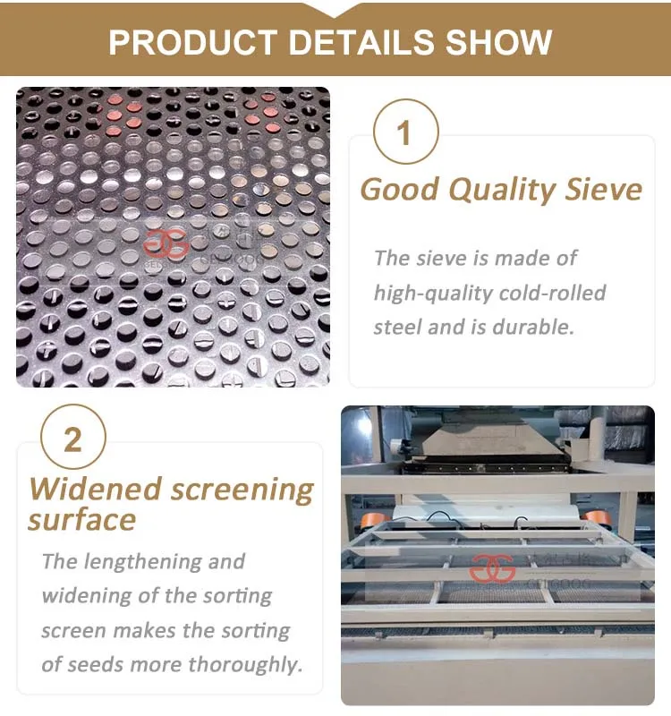 Automatic Pumpkin Seed Shelling and Sacha Inchi Nuts Peeling Machine ...