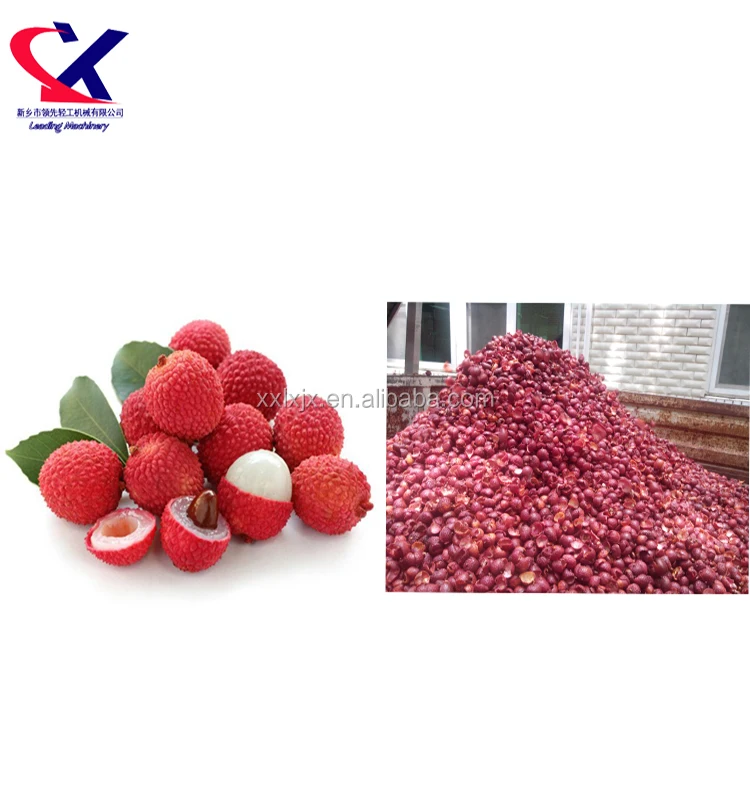 Advanced Automatic Lychee/litchi Peeling Machine Shell Peeler - Buy ...