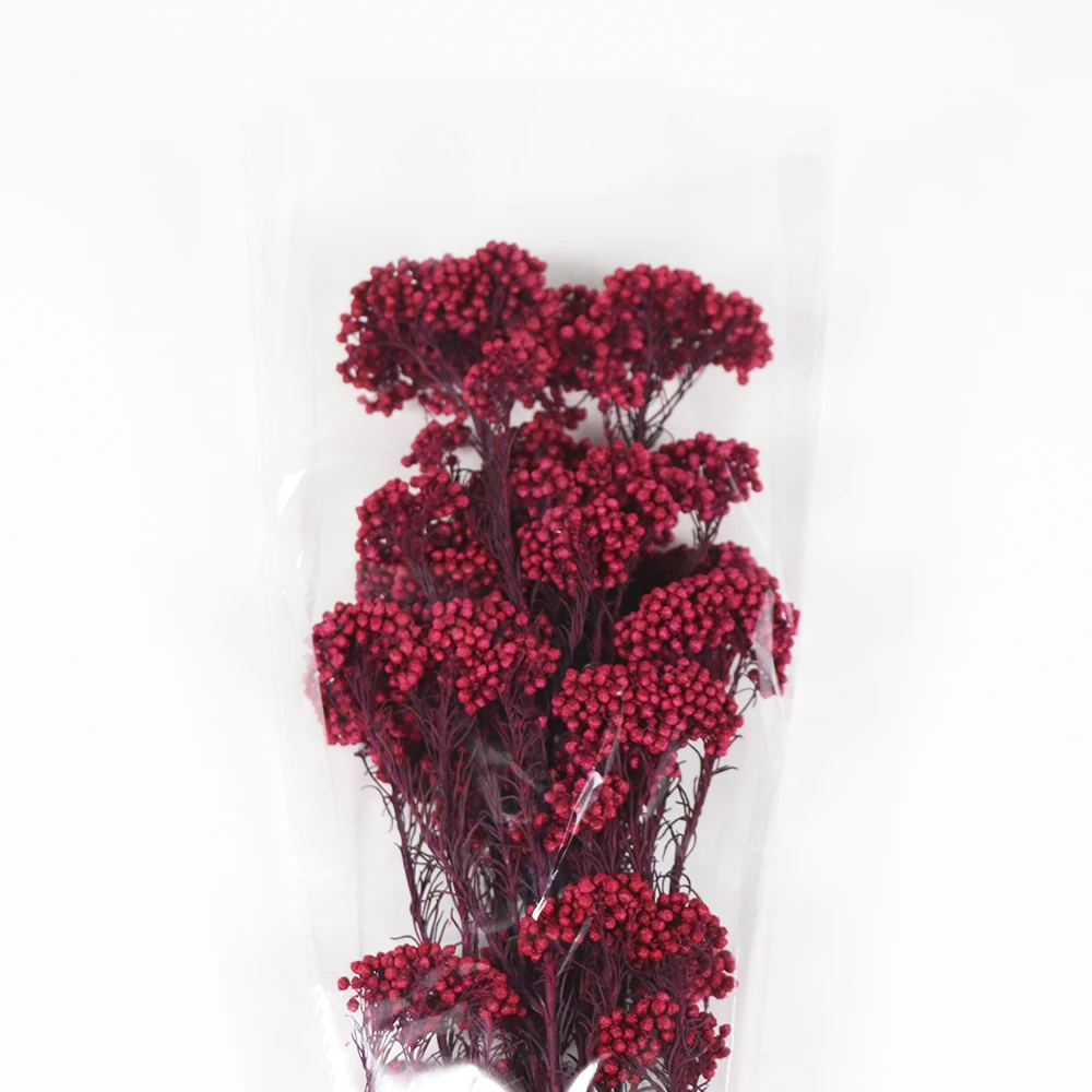 Ins Hot Sale Dried Flowers Bouquet With Material,Preserved Rice Flowers ...