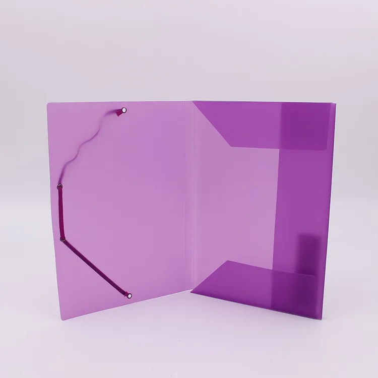 Customizable 3 Flaps A4 Size Transparent Plastic Folder