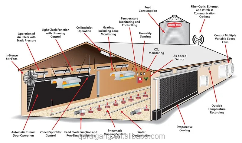 Prefab Steel Structure Poultry House For 10000 Chickens - Buy Poultry ...