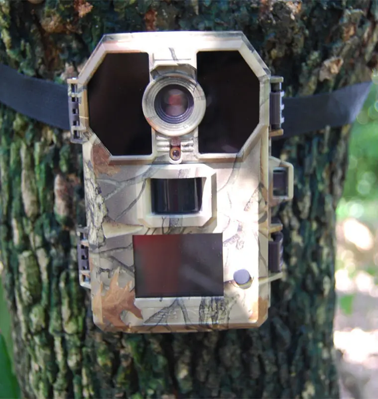 Forestcam Hidden Outdoor Security Observation Hunting Camera - Buy ...