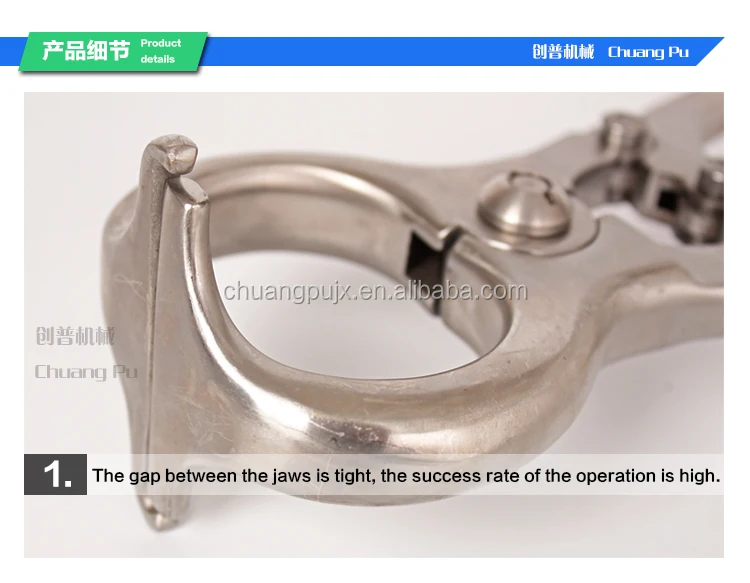 Bloodless Castration Of Cattle,Bull Castration Tool With Stainless ...