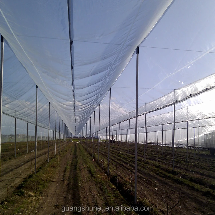 Anti Hail Nets for Apple Tree Agriculture - Protect & Prosper