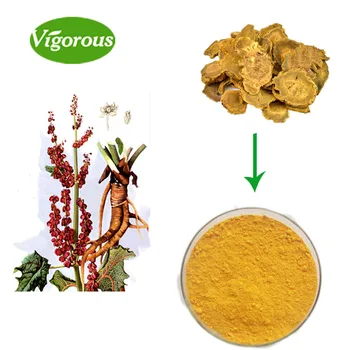 Free Sample Rhubarb Root Extract/rhubarb Root Extract Powder/rheum ...