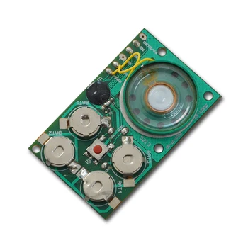 Voice Recording Musical Chip - Buy Voice Recording Musical Chip,Voice ...