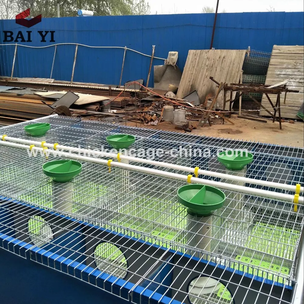 Easy Clean Rabbit Cage In Kenya Farm With Plastic Rabbit Cage Trays Buy Easy Clean Rabbit Cage